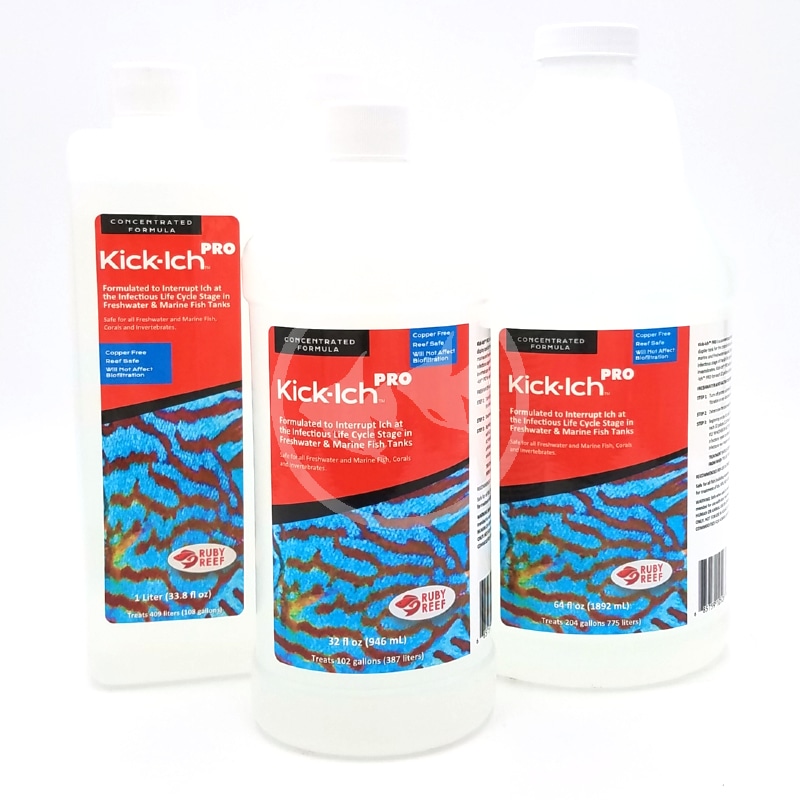 RUBY REEF KICK ICH PRO - Aquatics Unlimited