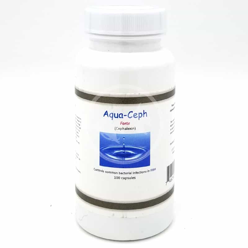 AQUA CEPH (CEPHALEXIN) 100 CAPSULES - Aquatics Unlimited