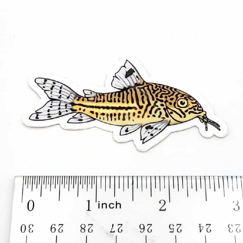 AQUARIUM FISH STICKER - Aquatics Unlimited