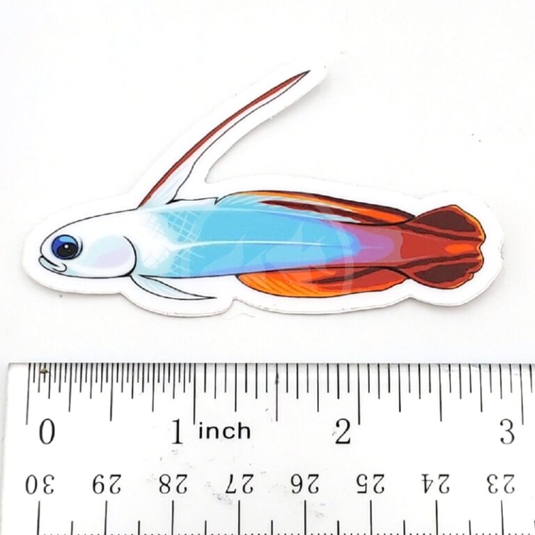 AQUARIUM FISH STICKER - Aquatics Unlimited