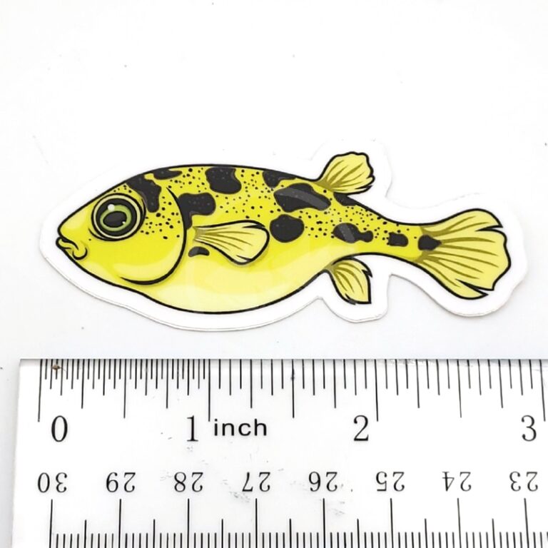 AQUARIUM FISH STICKER - Aquatics Unlimited